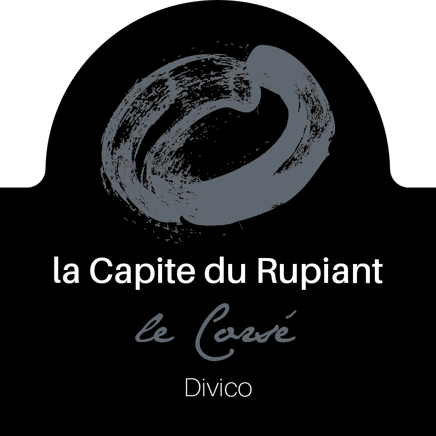 Le Corsé | Le Rupiant